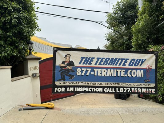 THE TERMITE GUY - Updated September 2025 - 80 Photos & 507 Reviews ...