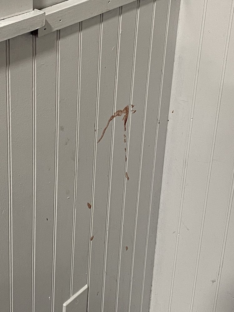 BREWSTER ICE ARENA - Updated December 2024 - 24 Photos & 28 Reviews ...