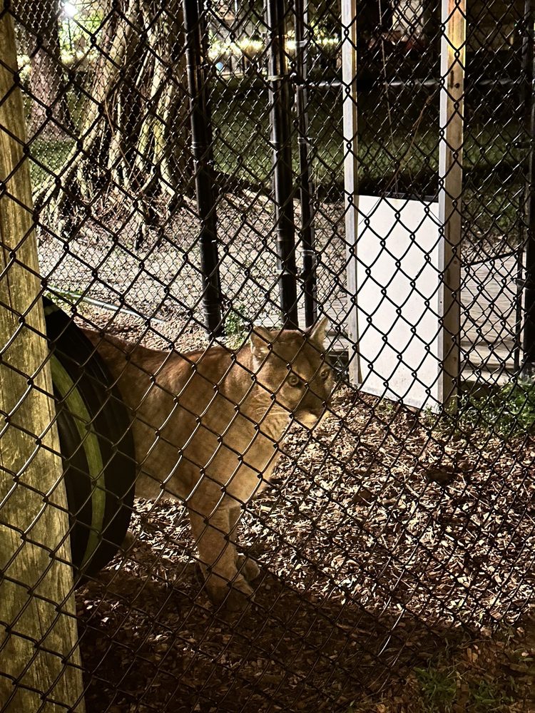 PANTHER RIDGE CONSERVATION CENTER - Updated October 2025 - 312 Photos ...