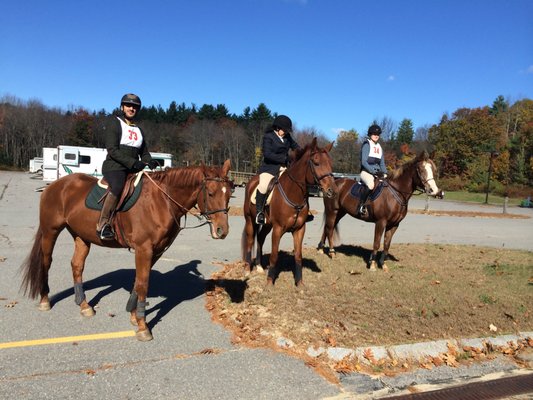 BOSTON EQUESTRIAN CENTER WEST - Updated October 2025 - 47 Photos - 44 ...