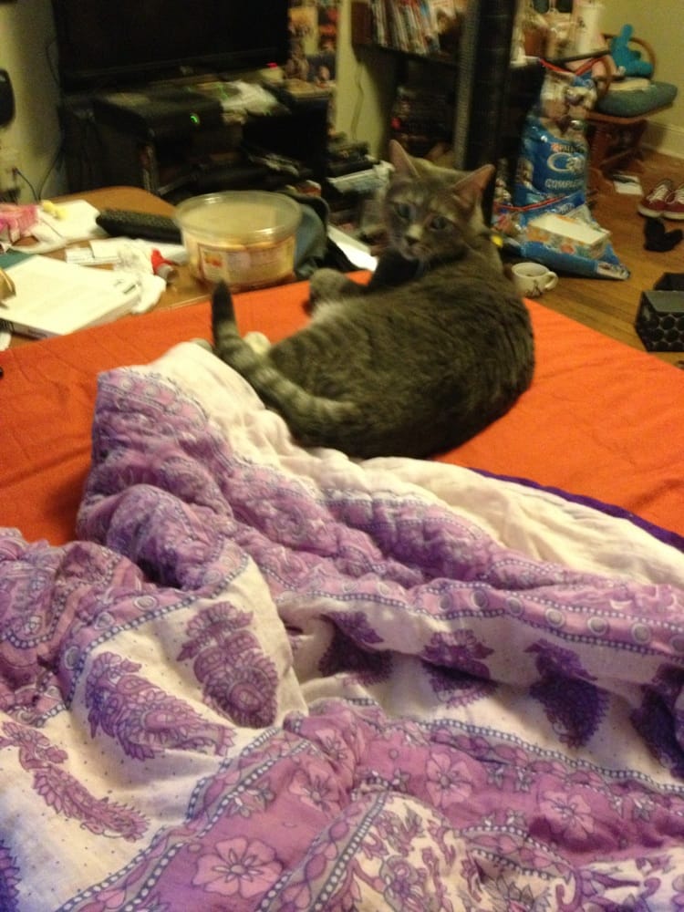 KENDRA’S LOVE SHACK - Updated July 2025 - 1705 SW 11th Ave, Portland ...