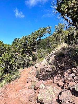 CARLITO SPRINGS - Updated October 2024 - 126 Photos & 26 Reviews - 82 ...