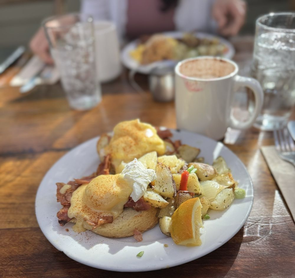 HIGH HAND NURSERY - Updated December 2025 - 709 Photos & 207 Reviews ...