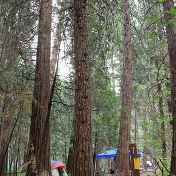 SENTINEL CAMPGROUND - Updated October 2025 - 43 Photos & 20 Reviews ...