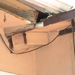 PACIFIC COAST TERMITE - 28 Photos & 215 Reviews - 1211 N Batavia St ...