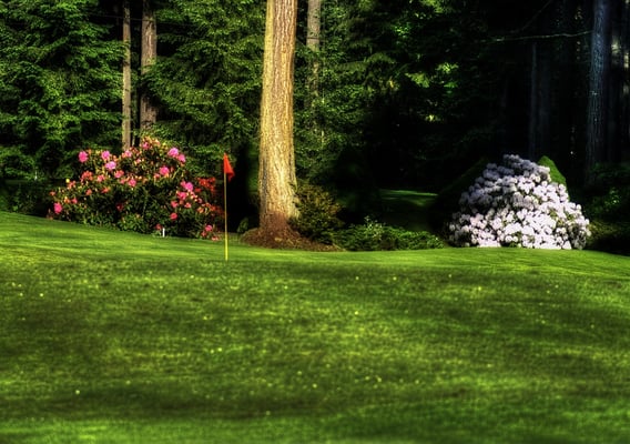 RIVIERA GOLF COURSE - Updated October 2025 - 11016 Country Club Dr ...