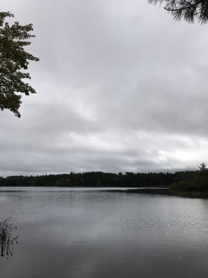 MASSASOIT STATE PARK - 27 Photos & 17 Reviews - Massasiot Park Rd, East ...