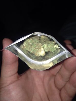 FIRST STATE COMPASSION - WILMINGTON - Updated June 2025 - 25 Photos ...