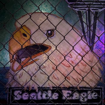 THE SEATTLE EAGLE - Updated December 2025 - 14 Photos & 62 Reviews ...