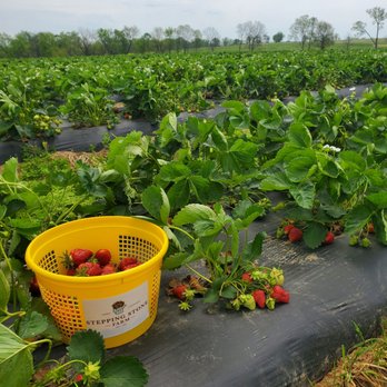 STEPPING STONE FARM - Updated November 2025 - 19 Photos - 1674 ...