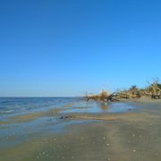 BOTANY BAY PLANTATION - 274 Photos & 65 Reviews - 7510 Botany Bay Rd ...