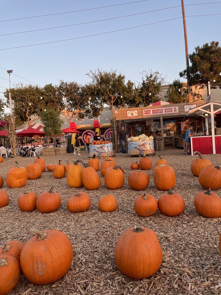 PUMPKIN CITY’S PUMPKIN FARM - Updated October 2025 - 569 Photos & 715 ...