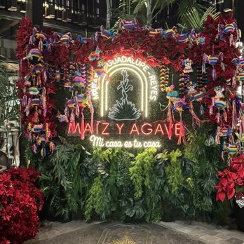 MAIZ Y AGAVE - Updated February 2025 - 735 Photos & 322 Reviews - 375 ...