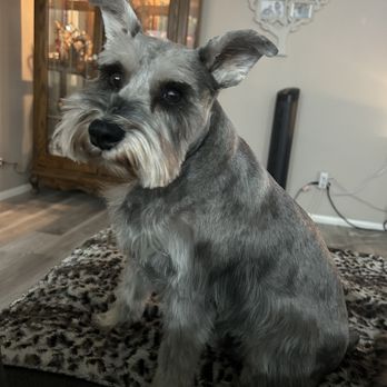 PAWGO - Updated June 2024 - 88 Photos & 140 Reviews - 46 W Hatcher Rd ...