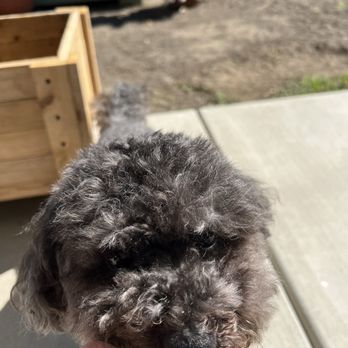 LE MARCEL BAKERY FOR DOGS - Updated December 2025 - 278 Photos & 170 ...