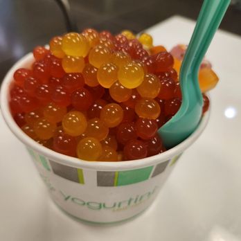 YOGURTINI - Updated December 2025 - 14 Photos - 8877 N 107th Ave ...