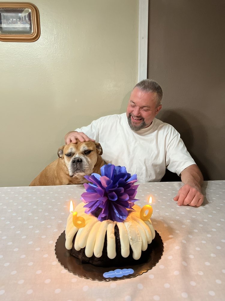 FINDING A BEST FRIEND RESCUE - Updated October 2024 - 147 Photos & 58 ...