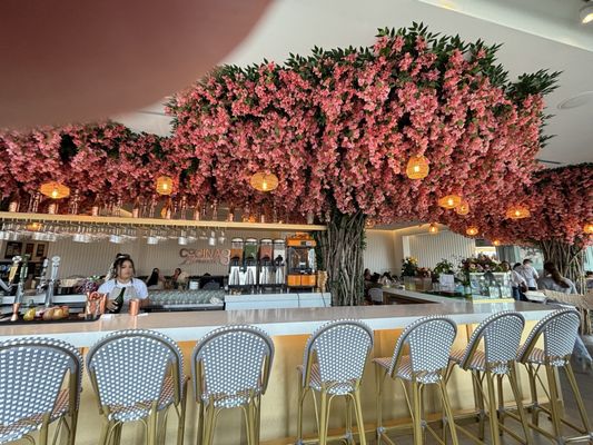 COCINA 35 - Updated March 2025 - 202 Photos & 75 Reviews - 1201 1st St ...