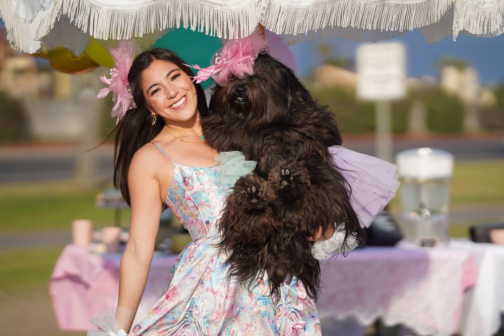 BELLINGHAM VETERINARY - Updated December 2025 - 21 Photos & 87 Reviews ...