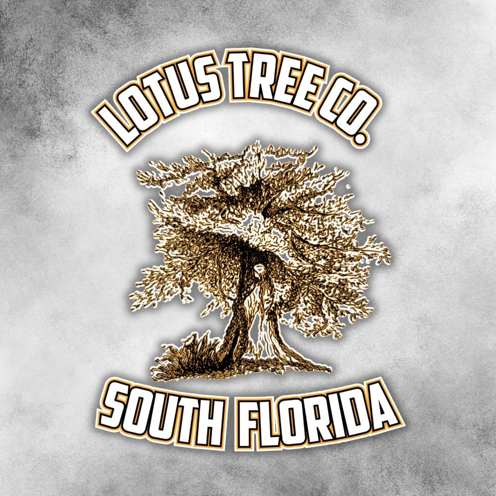 LOTUS TREE CO - Updated October 2025 - Request a Quote - 37 Photos ...