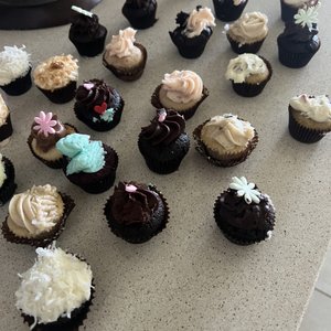 CELEBRITY CUPCAKES - 190 Photos & 282 Reviews - 2343 University Blvd ...