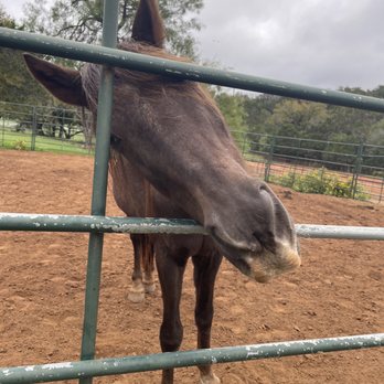 CAMP PENIEL - Updated October 2025 - 13 Photos - 397 Peniel Path ...