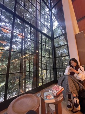 MILL VALLEY PUBLIC LIBRARY - Updated December 2024 - 52 Photos & 82 ...