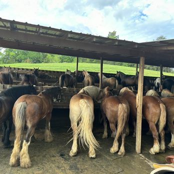 JAYELL RANCH - Updated October 2025 - 381 Photos & 359 Reviews - 1131 ...