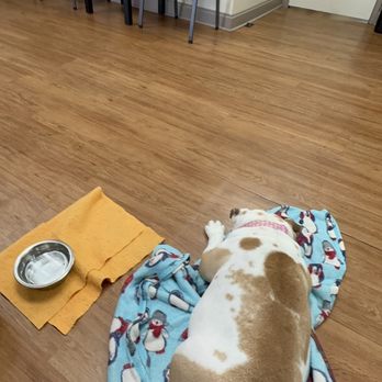 ANIMAL EYE GUYS - MIAMI BIRD ROAD - Updated December 2025 - 19 Photos ...