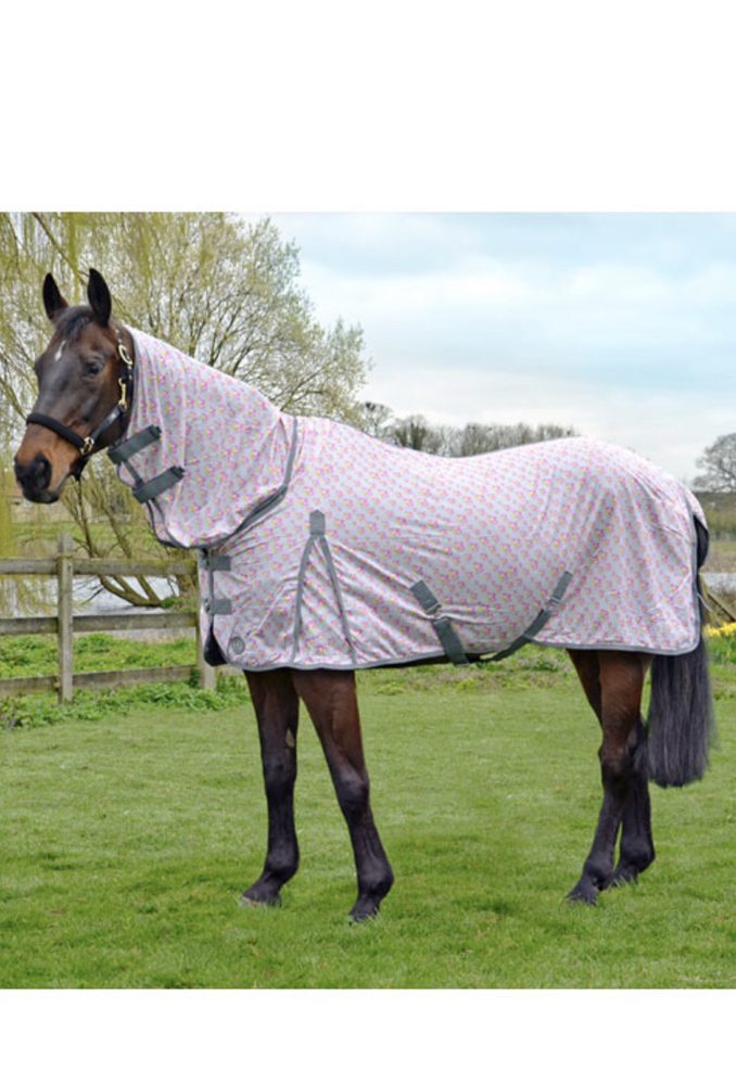 UPTON EQUESTRIAN - 15 Photos - Online shop only, Upton Saint Leonards ...