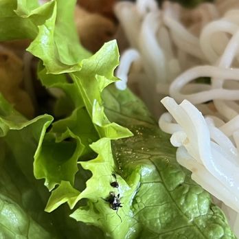 YOONIQUE PHO AND GRILL - Updated September 2024 - 180 Photos & 79 ...