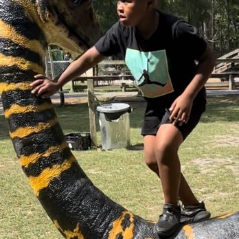 ALOHA SAFARI ZOO - Updated February 2025 - 396 Photos & 174 Reviews ...