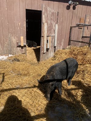 PALI INSTITUTE | 186 Photos & 194 Reviews - 30778 CA-18, Running ...