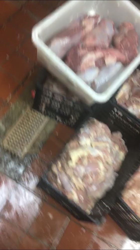 CHINA BEAR - 35 Reviews - 10514A Leopard st, Corpus Christi, Texas ...