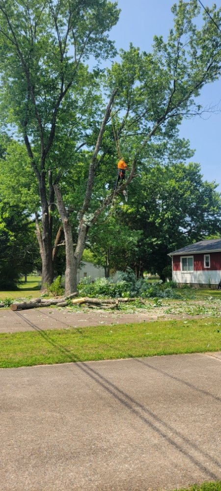 FORREST TREE SERVICE’S - Request a Quote - 20137 Ellis Rd, Lignum ...