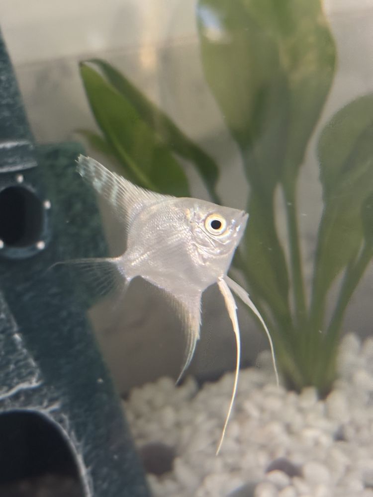 FISH WORLD - Updated December 2025 - 70 Photos & 55 Reviews - 4210 ...