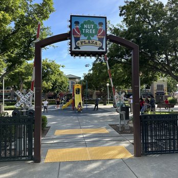 NUT TREE - Updated December 2025 - 299 Photos & 134 Reviews - 1661 E ...