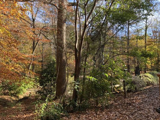 DUNWOODY NATURE CENTER - Updated November 2024 - 73 Photos & 28 Reviews ...