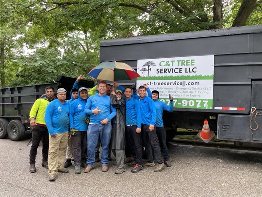 C&T TREE SERVICE - Updated December 2025 - 77 Photos - Pontiac ...