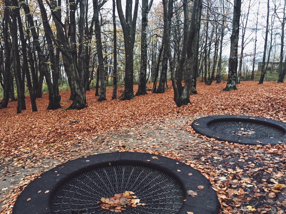 VÅLANDSSKOGEN - Våland, Våland, Norway - Parks - Yelp