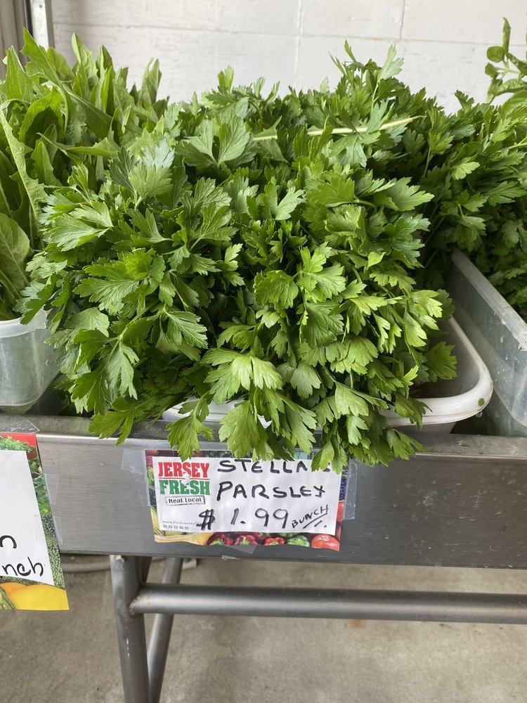 STELLA FARMS - Updated January 2026 - 20 Photos & 35 Real Reviews - 459 ...