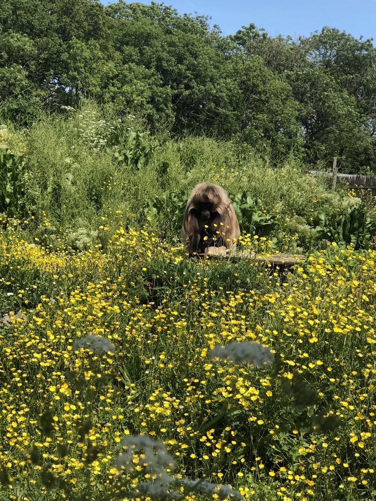 THE WILD PLACE PROJECT - Updated December 2024 - 12 Photos - Blackhorse ...