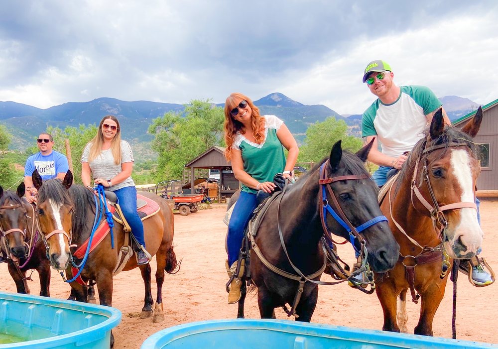 ACADEMY RIDING STABLES - Updated May 2024 - 457 Photos & 231 Reviews ...