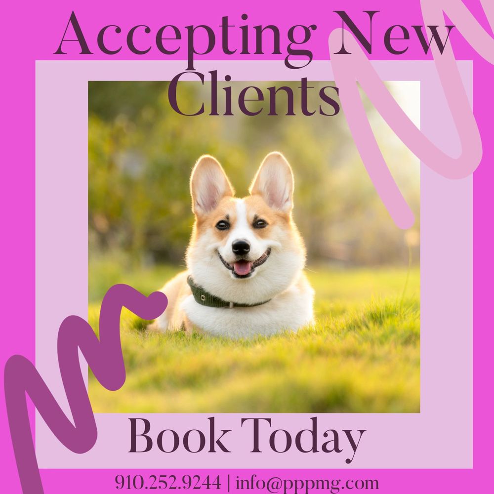 PAWSITIVELY PICTURE PERFECT MOBILE GROOMING - Updated June 2026 - 19 ...