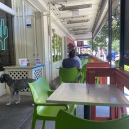 CACTUS RESTAURANTS - MADISON PARK - Updated December 2025 - 396 Photos ...