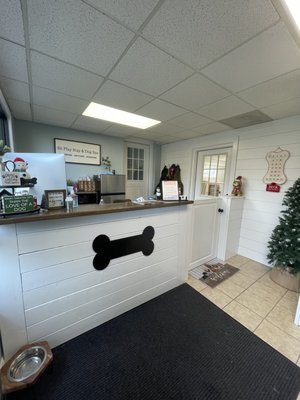 SIT PLAY STAY & DOG SPA - Updated October 2025 - 11 Photos - 1235 Main ...