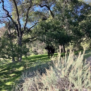 SUNOL REGIONAL WILDERNESS AREA - Updated October 2025 - 1955 Photos ...