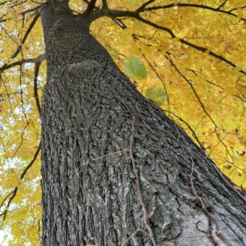 GRAND RAVINES NORTH COUNTY PARK - Updated December 2025 - 20 Photos ...