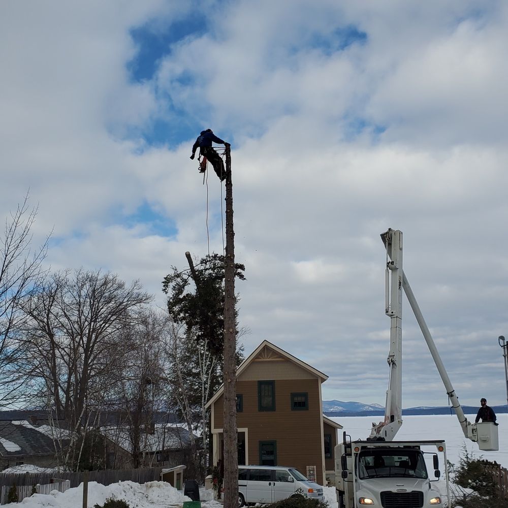 ARBORTECH - Updated August 2025 - 51 Photos - 312 Hounsell Ave, Gilford ...