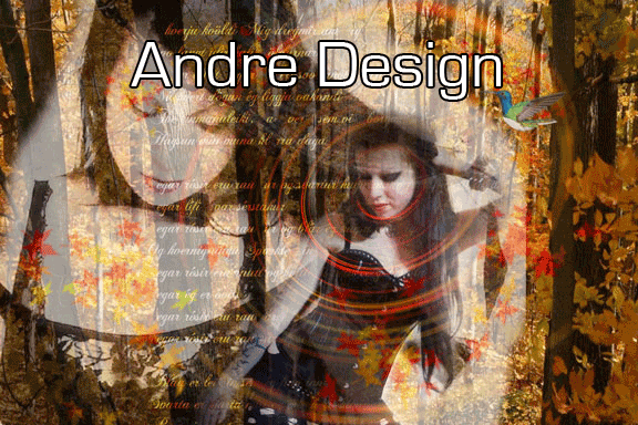 ANDRE DESIGN - Request Consultation - Berwyn, IL - Yelp